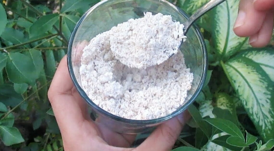 Dari Ombus-ombus hingga Pohul-Pohul, Inilah 5 Kuliner Tradisional Sumut ...