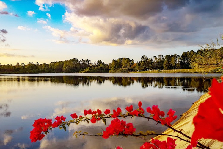 Danau Aek Natonang: Daya Tarik, Harga Tiket, dan Rute